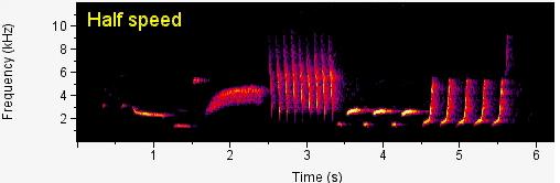 REAL-TIME SCROLLING SPECTROGRAM